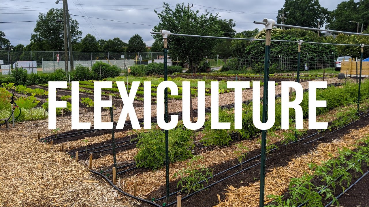 Flexible Agriculture - YouTube