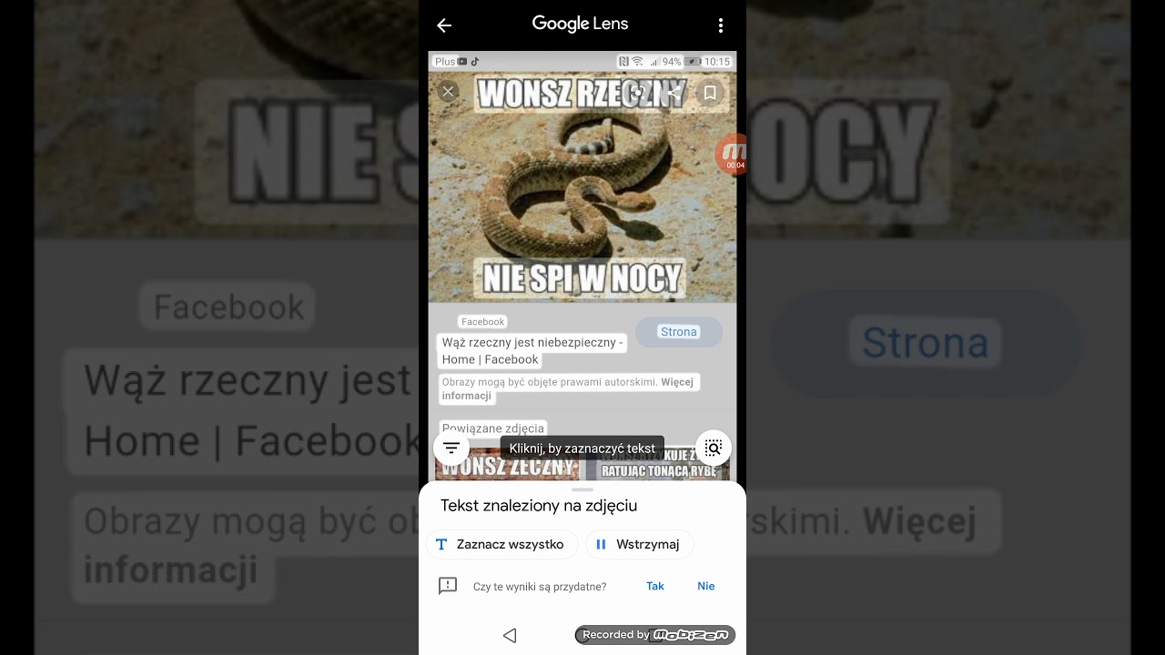 Wonsz rzeczny GoogleTłumacz#1 - YouTube