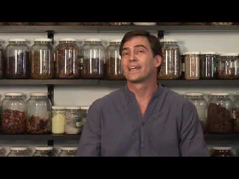 How to Cleanse the System of Excess Uric Acid Purines - YouTube