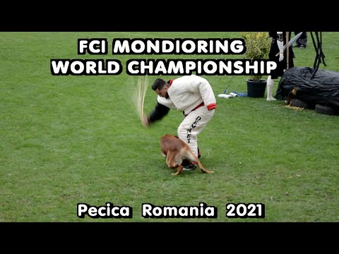 FCI Mondioring world championship 2021