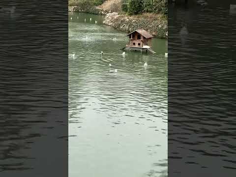 Huzur veren güzel bir yer