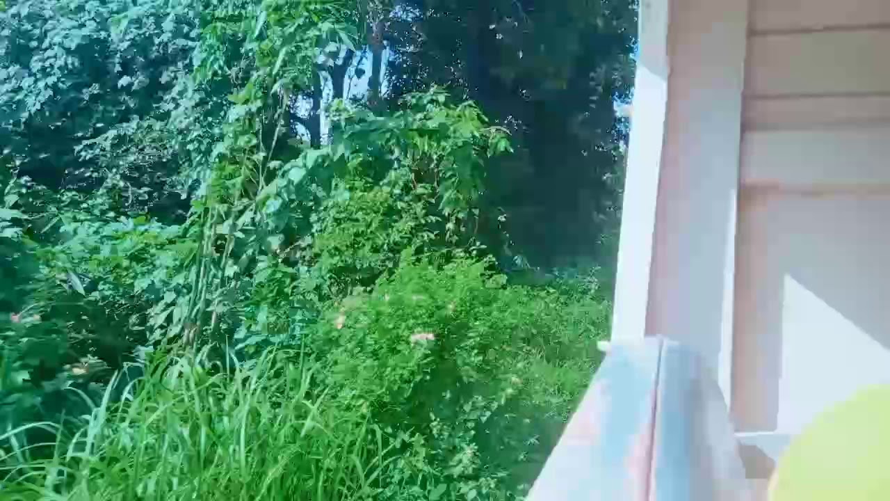 Travel Vlogg ️ Brgy Santo Niño Araceli Palawan. - YouTube