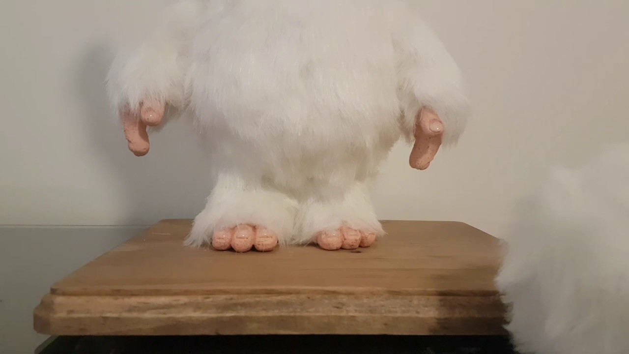 Ronculus Maximus Mogwai ( Gary) - YouTube