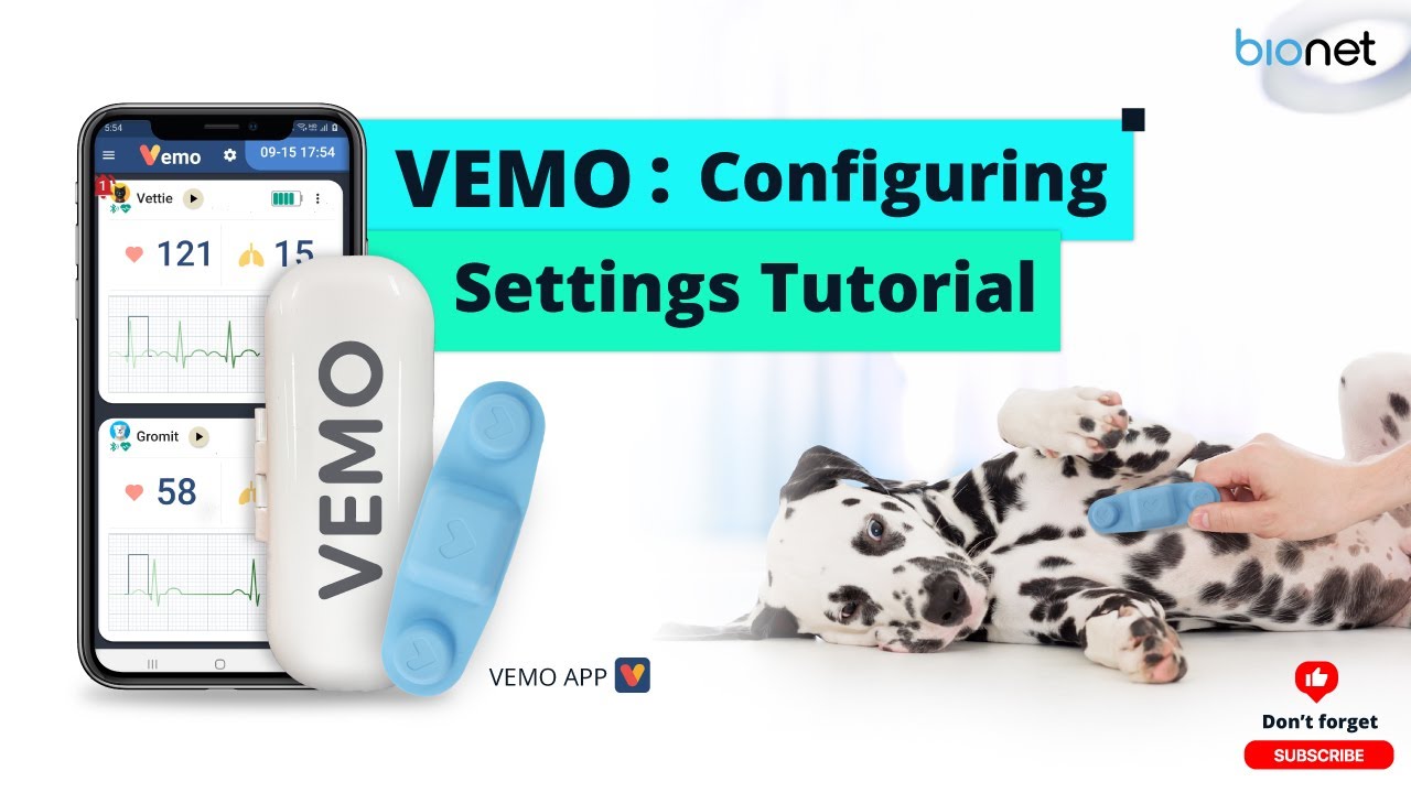 VEMO: Configuring Settings Tutorial - YouTube
