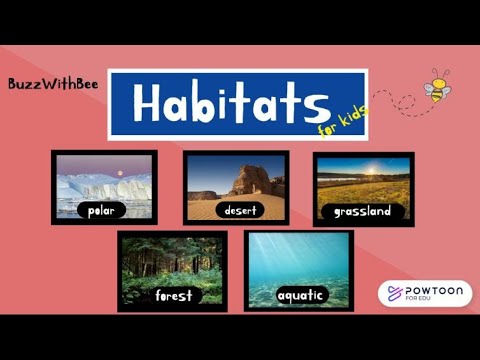 What Type Of Ecosystem Do Mammals Live In