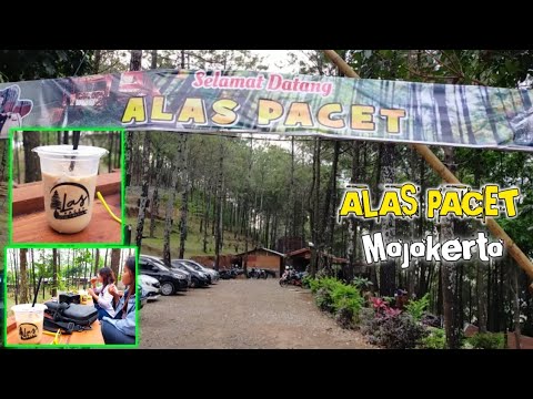 Alas Pacet Mojokerto | Tempat nongkrong dengan pesona alam yang menawan ...