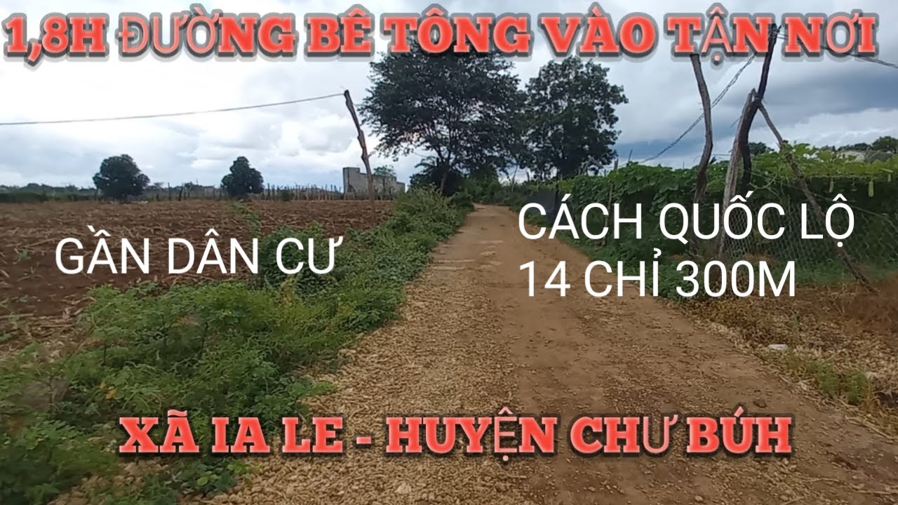 Bán lô đất giá rẻ 1,8h tại Chư Búh, đường bê tông vào tận nơi, có giếng ...