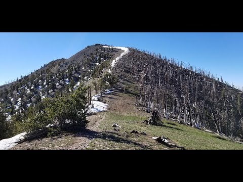 Griffith Peak Summit Trip | Mt Charleston Wilderness | Spring Mountains ...