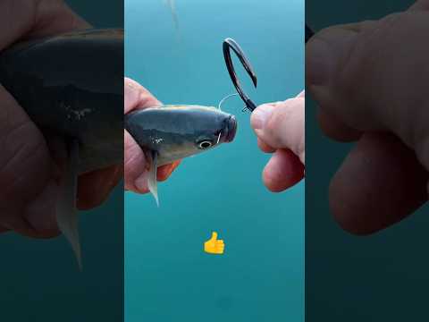 #идея #Ловля #рыбалка #fishing #baliq #ovi #usuli