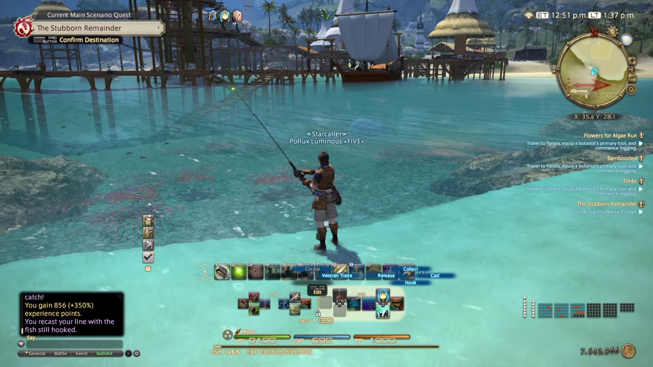 FFXIV CASTAWAY CHOCOBO CHICK - YouTube