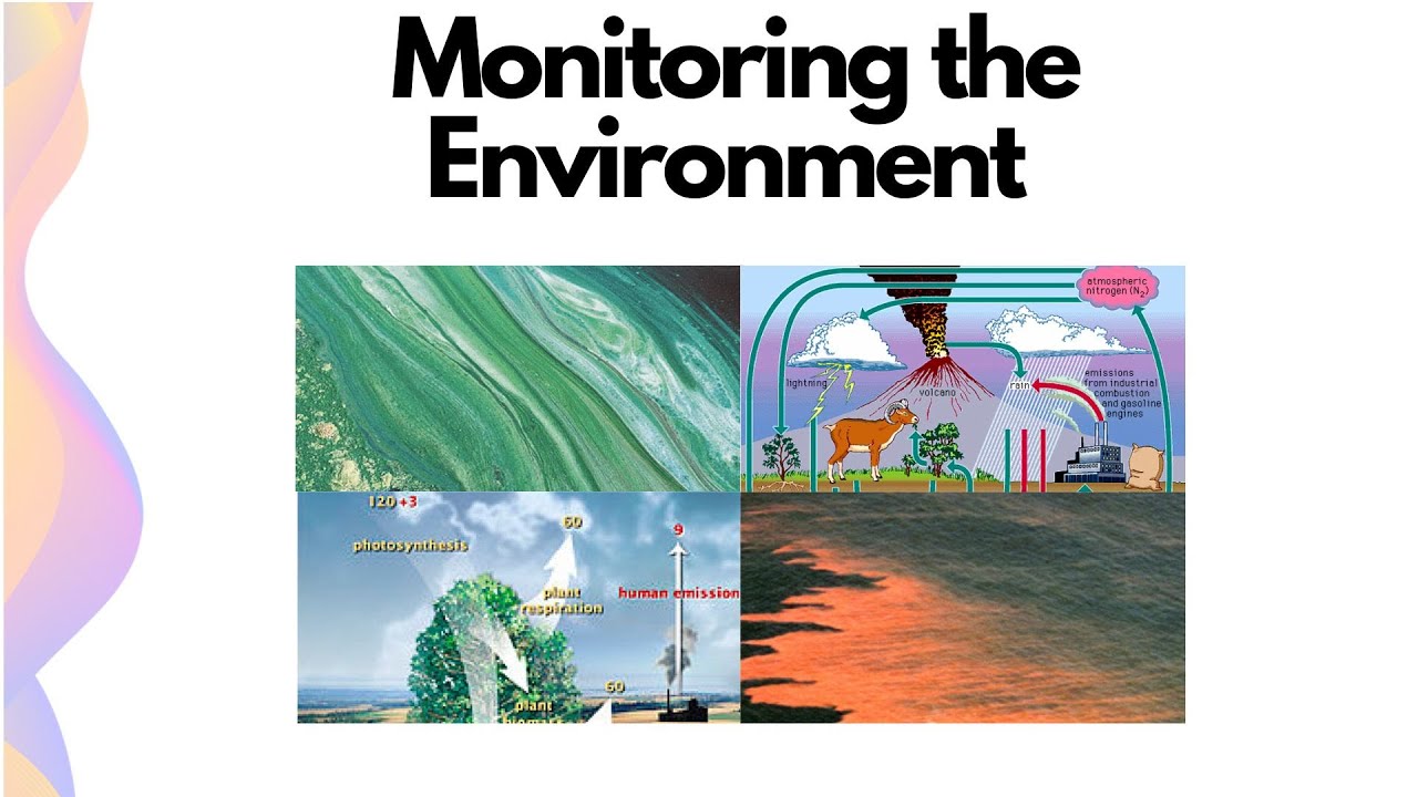 Why Do We Need to Monitor The Environment? Everything You Need to Know ...