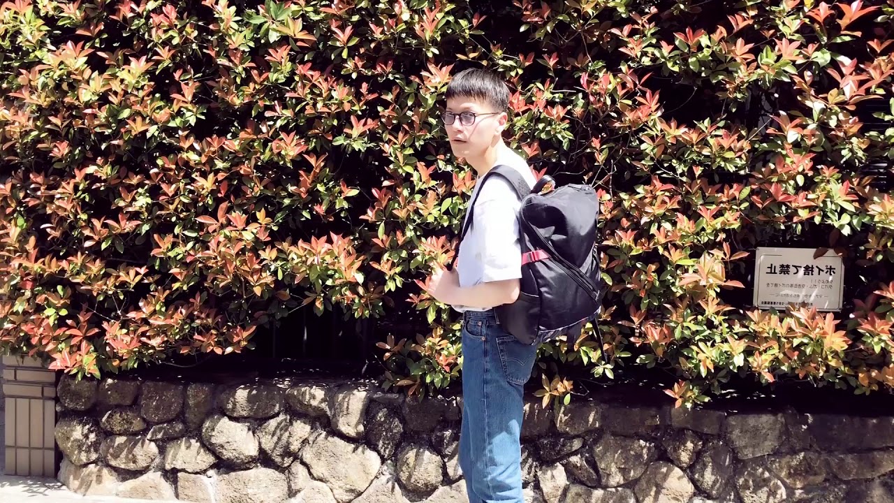 backpack in 2018 |Japan design backpack travel | best backpacks for ...