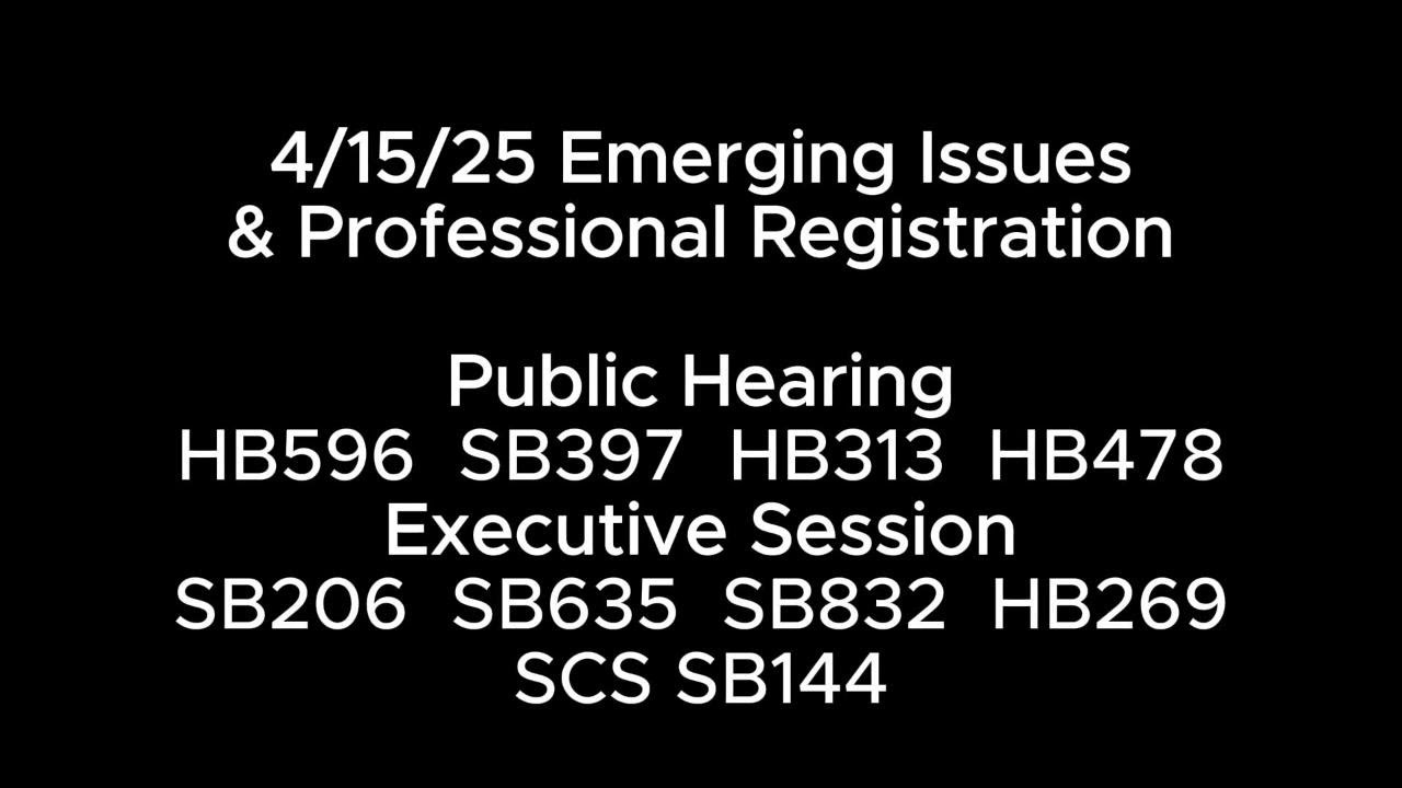 4/15/25 EMERG Issues & PRO RGSTRTN PH: HB596 HB397 HB313 HB478 ES ...