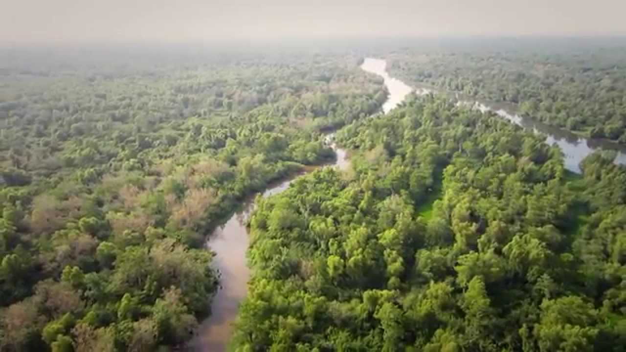 Swamp Base INNOV8 Award - YouTube