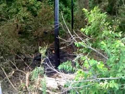 Actual Video: Ryan Dunn Dies in Fatal Car Crash - Photos Too! - YouTube