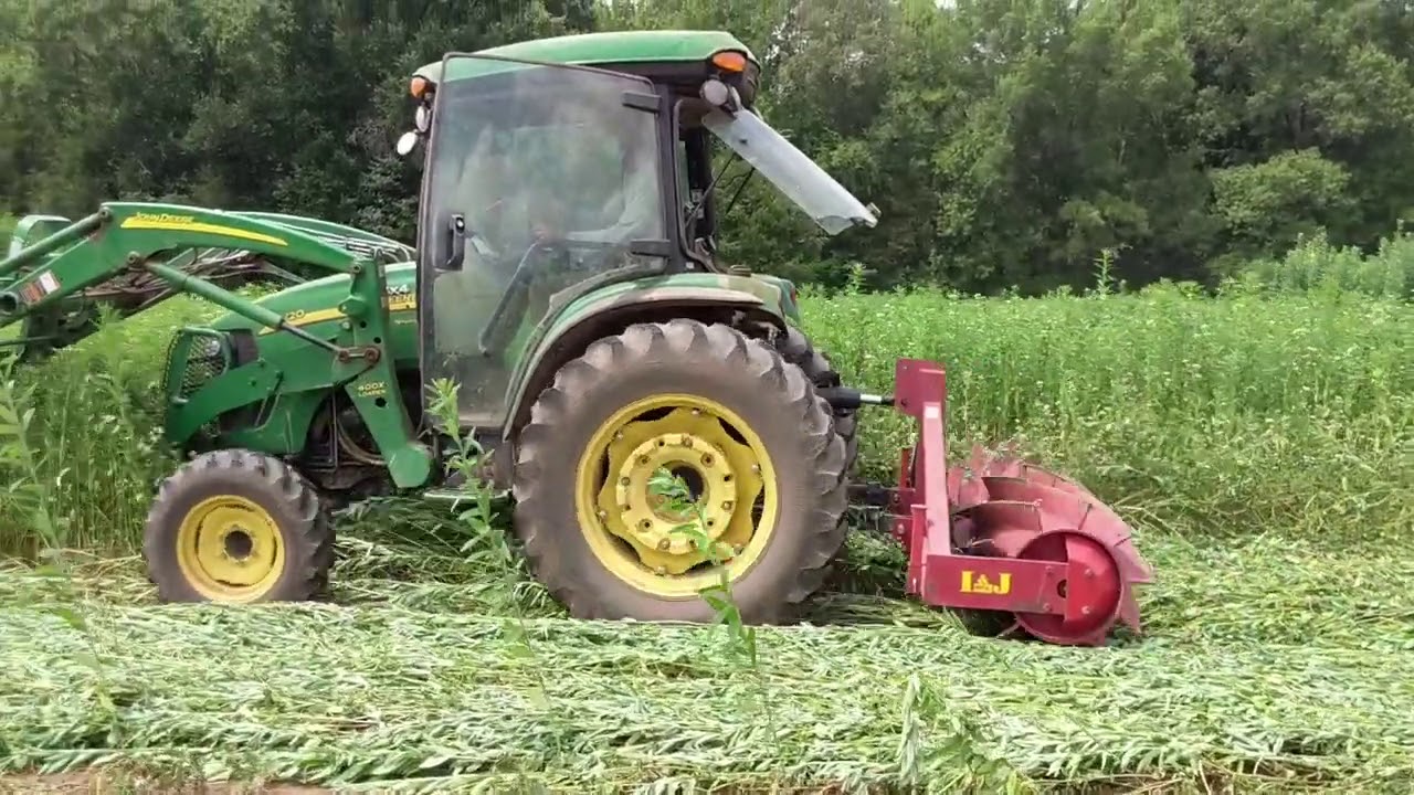 Trialing Summer Cover Crops for Organic No-Till Broccoli - YouTube