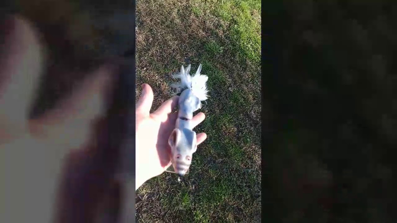 Hand carved balsa fishing lure rat Top water handmade swumtest. - YouTube
