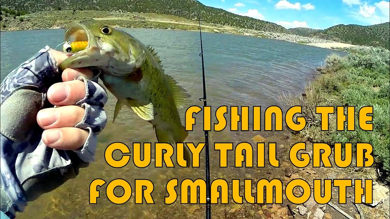 Fishing the Curly Tail Grub for Smallmouth (5.23.23) - YouTube