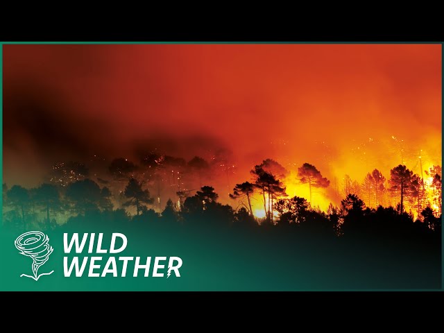 41 Earthshaking Facts About Natural Disasters