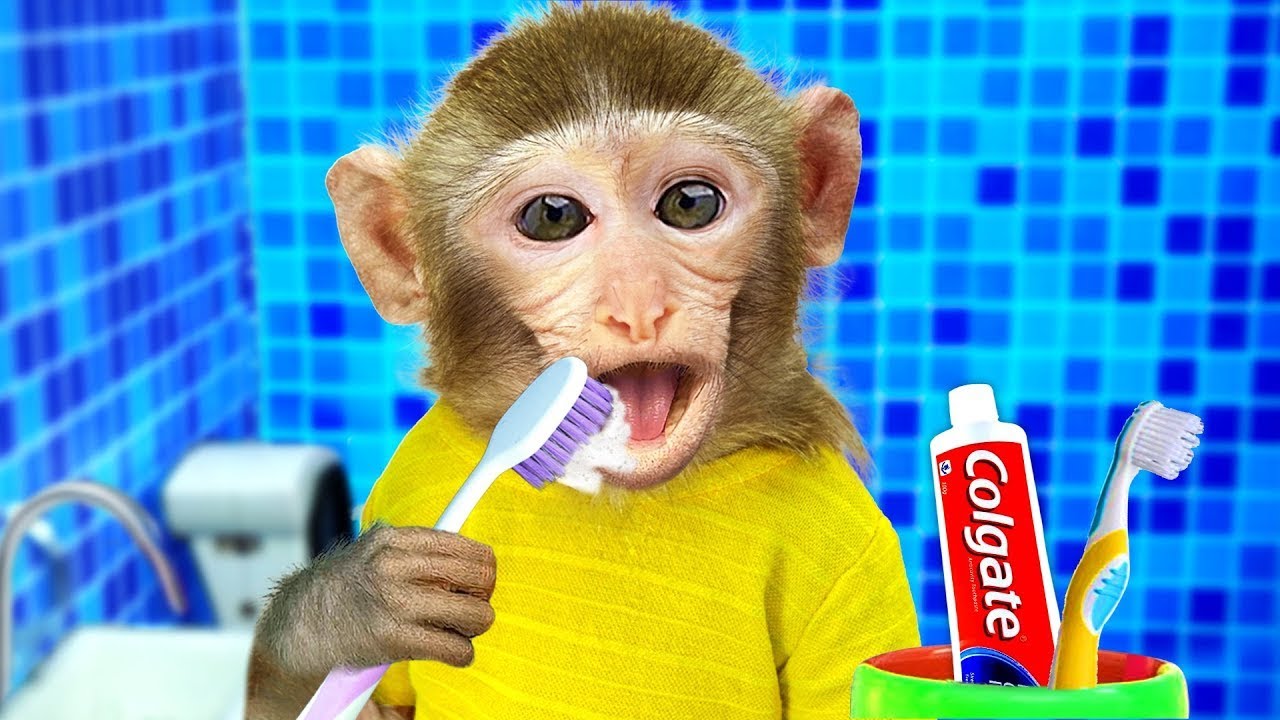 Baby Monkey KiKi brush teeth in the bathroom and go to supermarket buy M&M candy KUDO ANIMAL ...