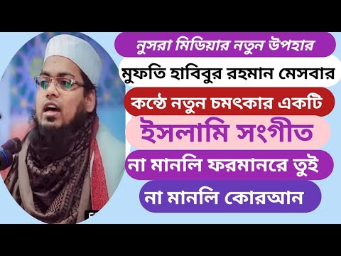 ইসলামি সংগীত||Islami song||মুফতি হাবিবুর রহমান মেসবাহ||mufti Habibur ...
