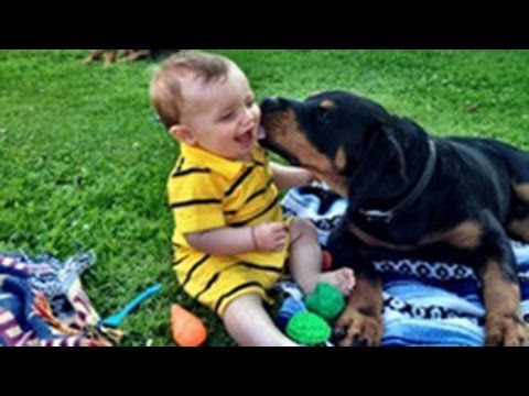 Les bébés mignons Jouez avec Rottweiler Chiens Vidéo Compilation 2014