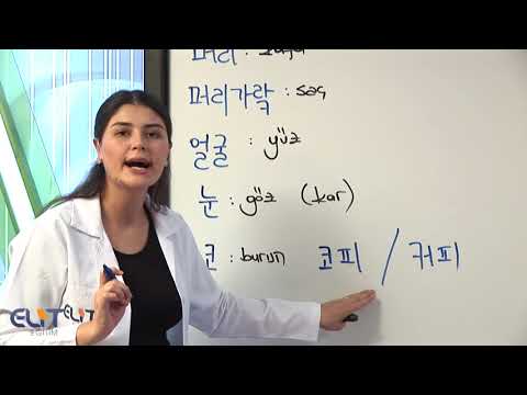 Korece Eğitim Seti (Orta Seviye) - (En Hızlı ve Gerçek Öğrenme Şekli)