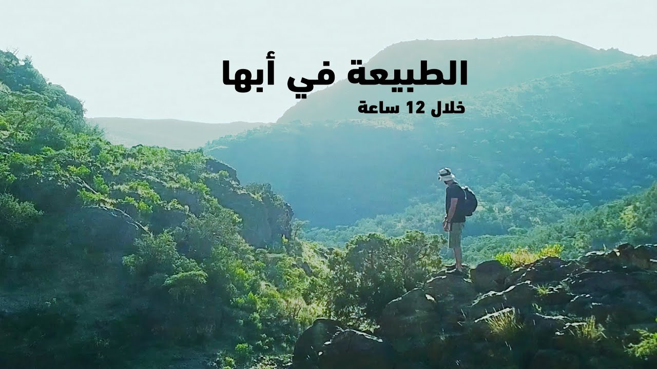 الطبيعة في أبها خلال ١٢ ساعه - Nature in Abha within 12 hours - YouTube