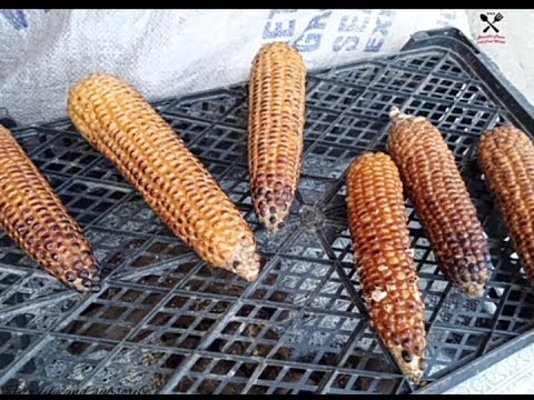 Parachinar Warty Cheki | video by Beautiful places and Food world ...
