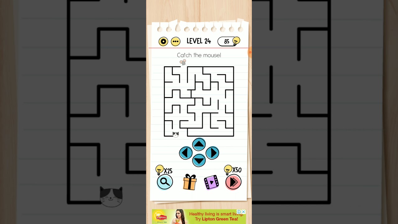 Brain Test Level 24 walkthrough - YouTube