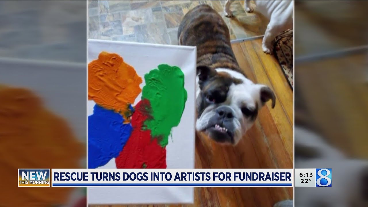 Rescue turns dogs into artists for fundraiser - YouTube