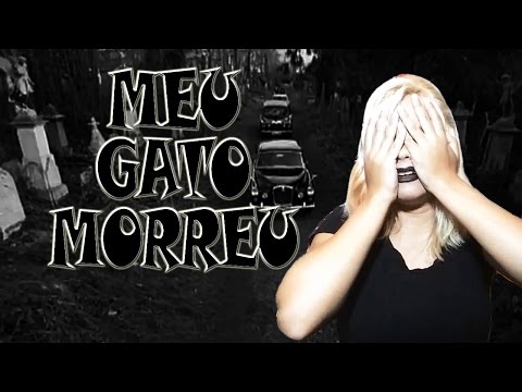 MEU GATO MORREU