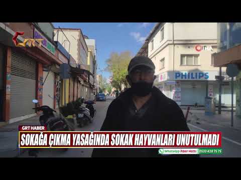 SOKAĞA ÇIKMA YASAĞINDA SOKAK HAYVANLARI UNUTULMADI