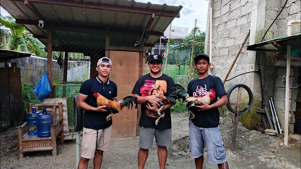 HALOS LAHAT NG MANOK NYA BEBOT UY QUALITY 😍 - YouTube