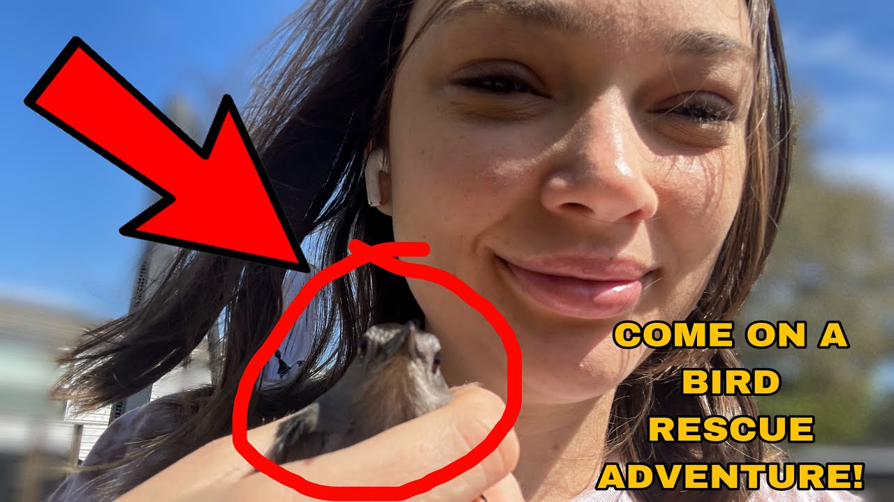 Little Bird Needed Help..This is What Happened |Ruby’s Zoo - YouTube