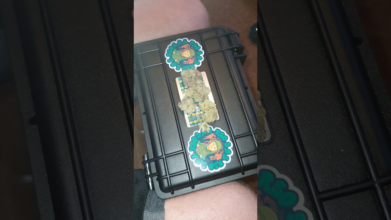 The Ten co cali pack Pink Sandy - YouTube