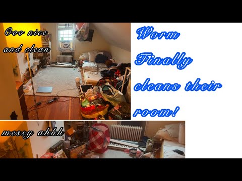 The Worm Room Cleaning Video :D - YouTube