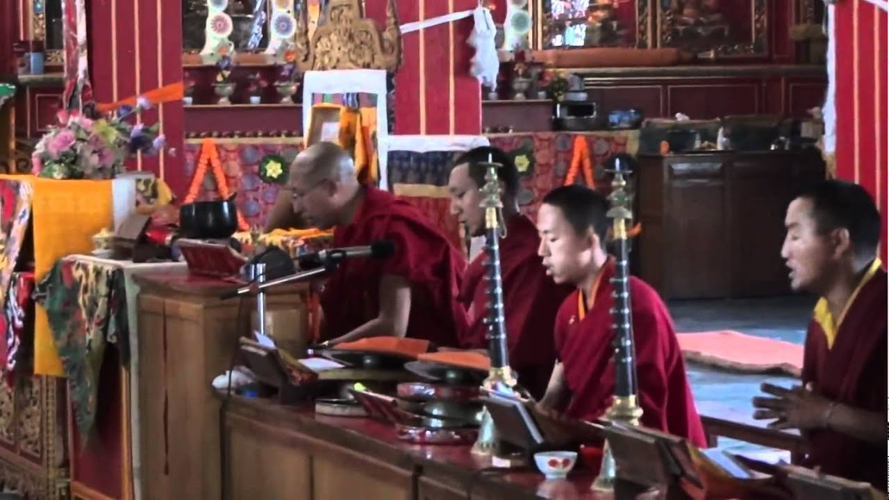 Calling Lama From Afar - YouTube