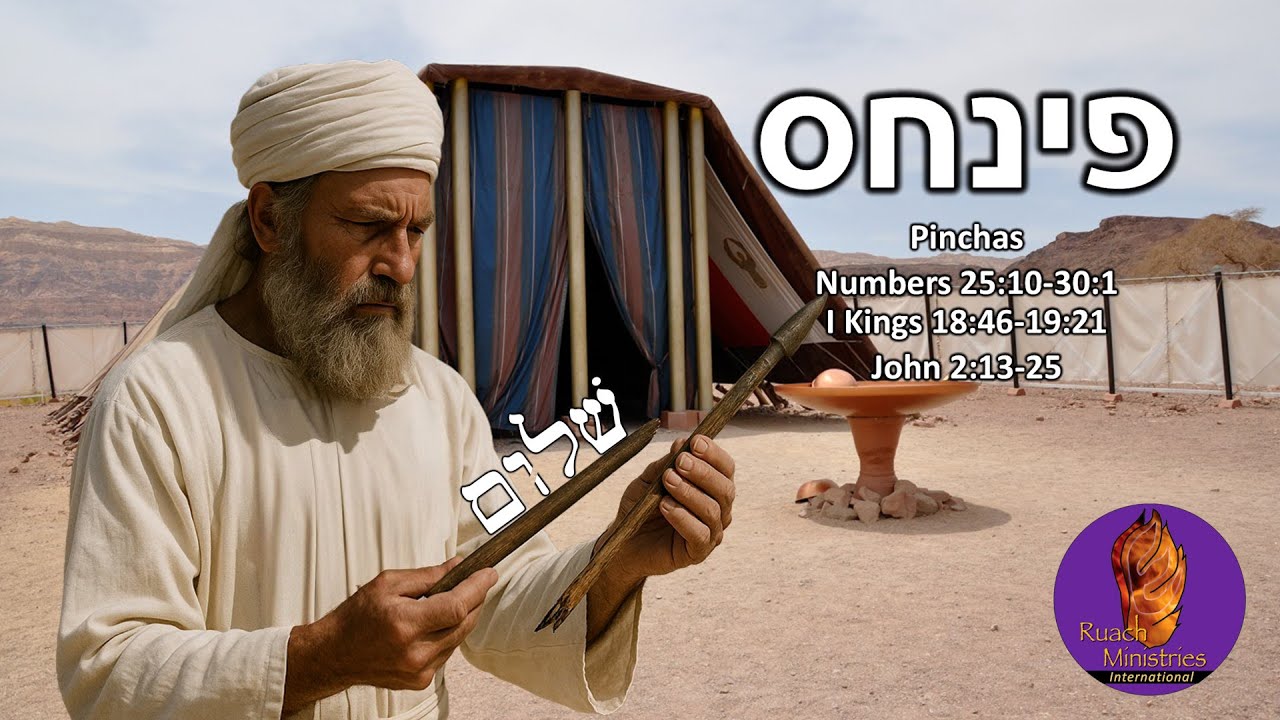 A Covenant of Peace Through Righteous Zeal: Parsha Pinchas - YouTube