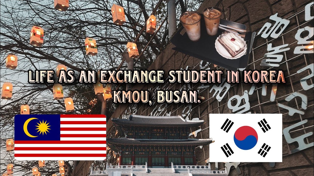 Life as an exchange student in Korea (KMOU, Busan) - YouTube