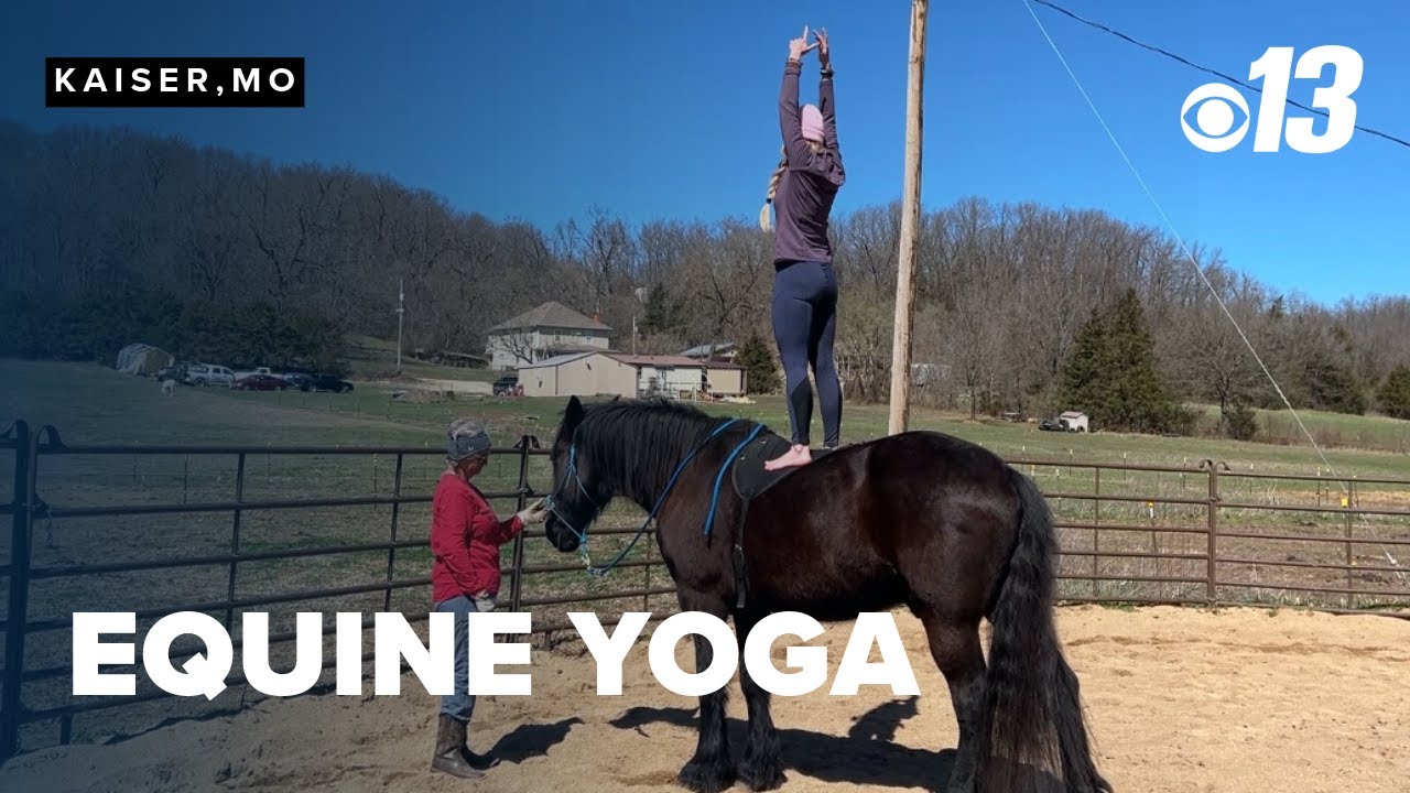 Discover equine yoga: balancing body and mind with horses at Bear Creek ...