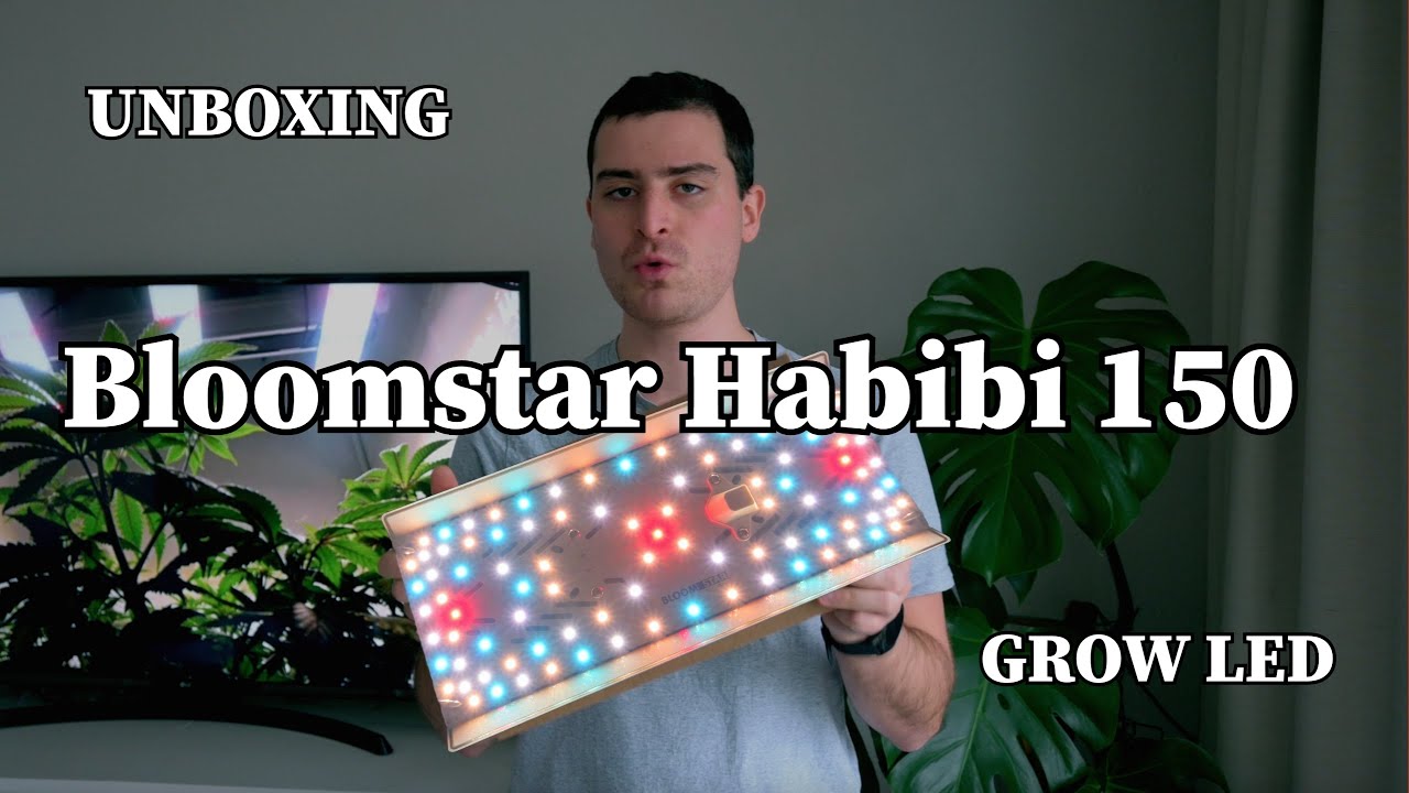 MEINE NEUE GROW-LED?! - Bloomstar FluxShield Habibi 150 50w - UNBOXING ...