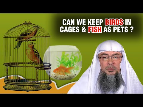 What Pets Are Permissible In Islam