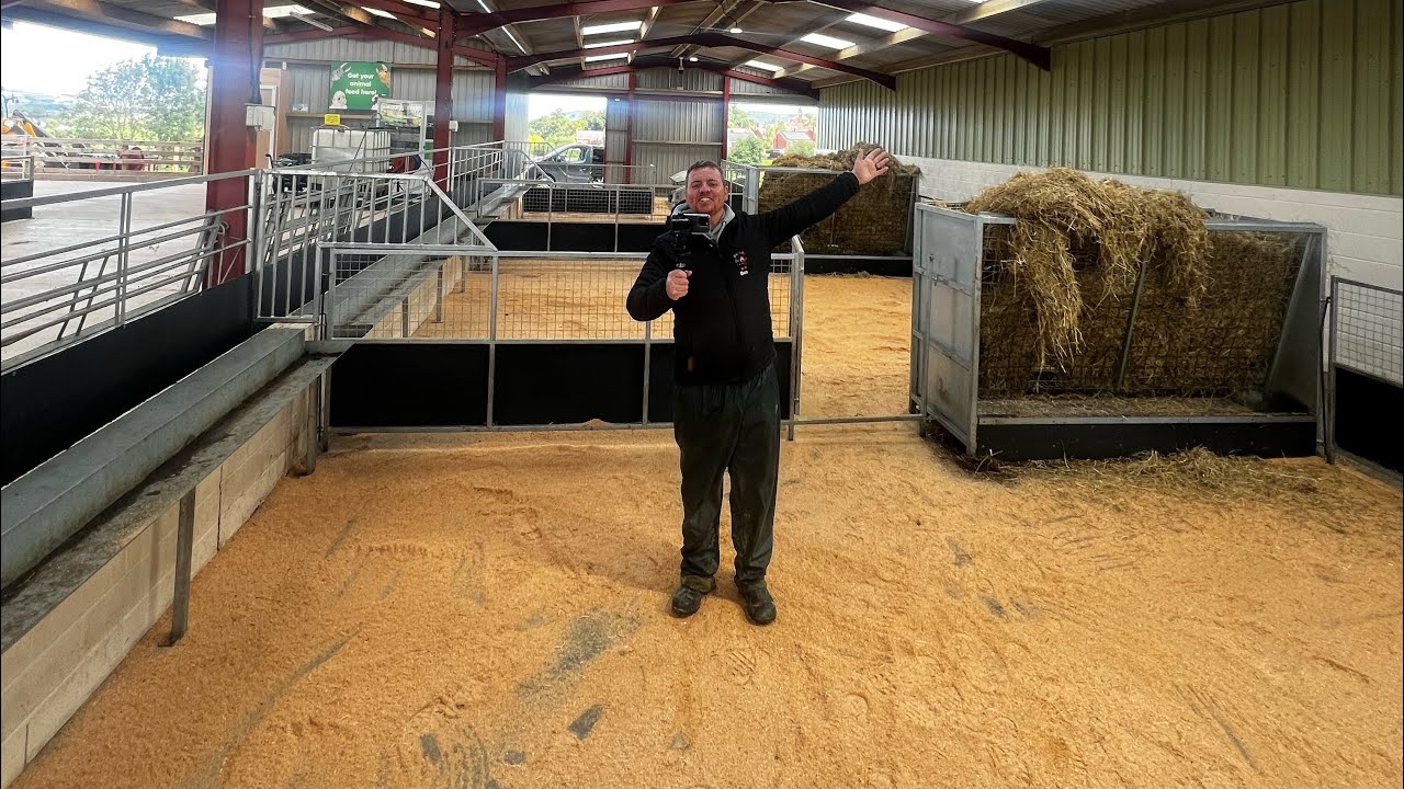 Day 2 of the mega clean out operation! Shed 1 done now it’s onto the ...