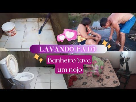 COMO LAVAR FATO DE CARNEIRO NO RIO | BANHEIRO TAVA IMUNDO | ORGANIZEI ...