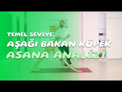 Asana Analizi - Aşağı Bakan Köpek Duruşu / 13.Analiz