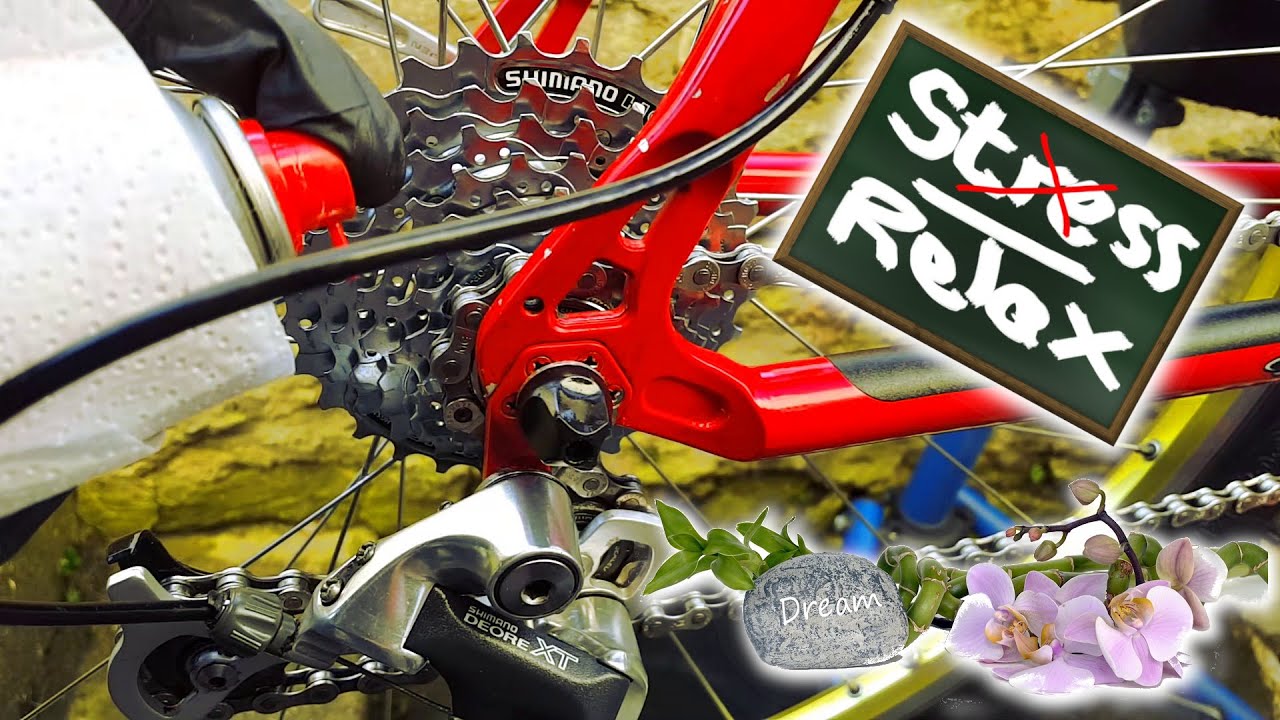 LEAN BACK AND ENJOY 1 hour THE #relaxing #satisfying #asmr #bicycle # ...