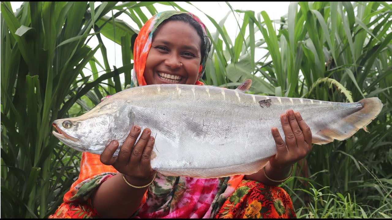 Big Chitol Fish Curry Recipe by My Aunty - YouTube