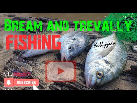 bream and trevally fishing | pano manghuli ng bakoko at talakitok ...