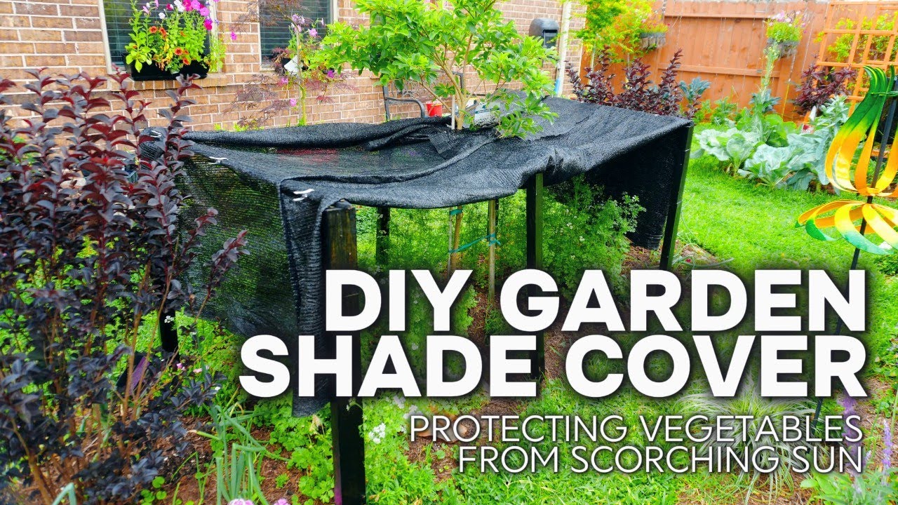 DIY Vegetable Garden Shade Cover: Protect Your Plants from Scorching ...